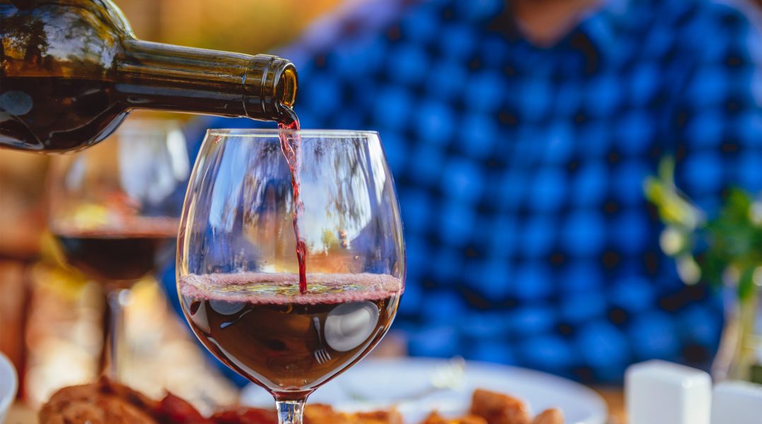 MAPU Merlot 2021 - MAPU