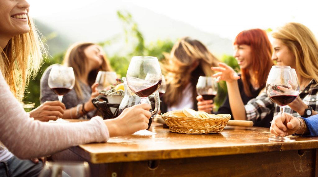 MAPU Merlot 2019 - MAPU