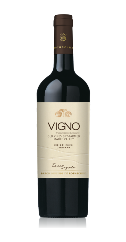 CARIGNAN VIGNO - MAPU