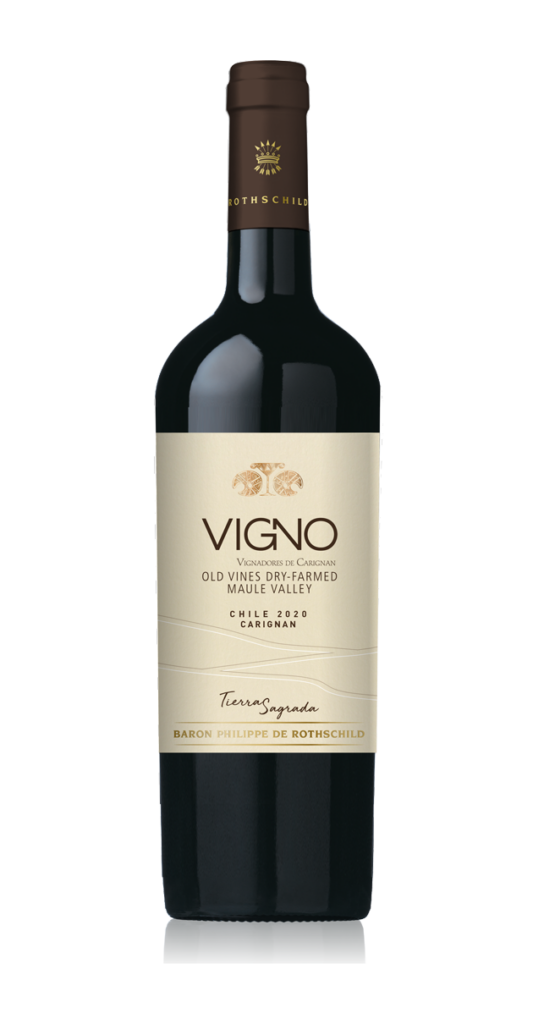 MAPU TIERRA SAGRADA 2023 - MAPU