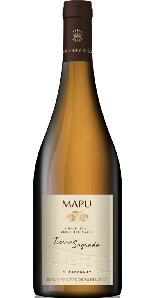 MAPU TIERRA SAGRADA 2023 - MAPU