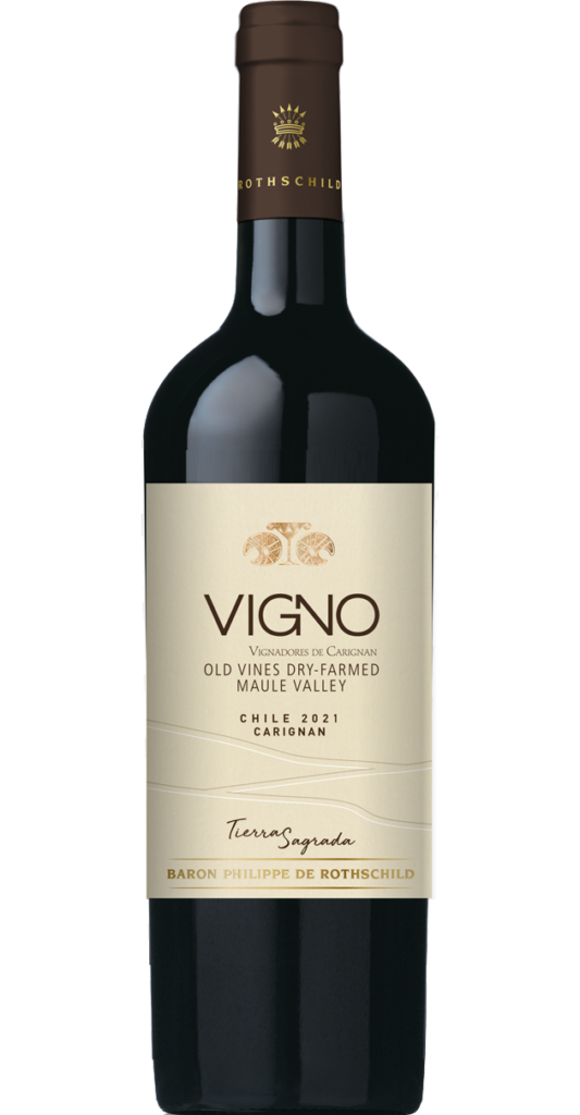 MAPU TIERRA SAGRADA 2023 - MAPU